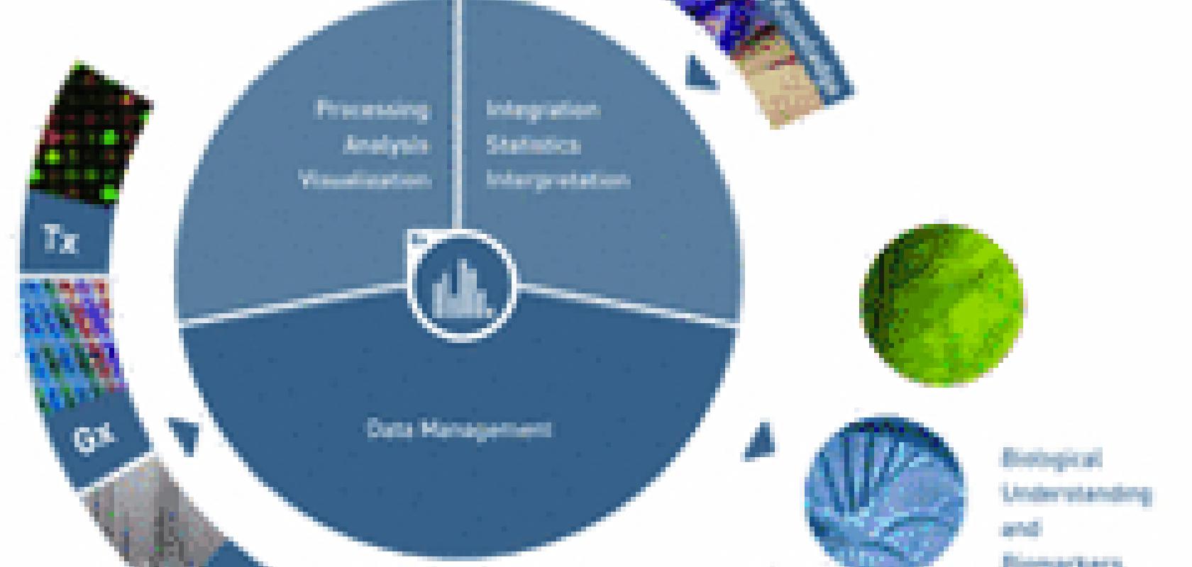 Ono expresses itself with Genedata | Scientific Computing World